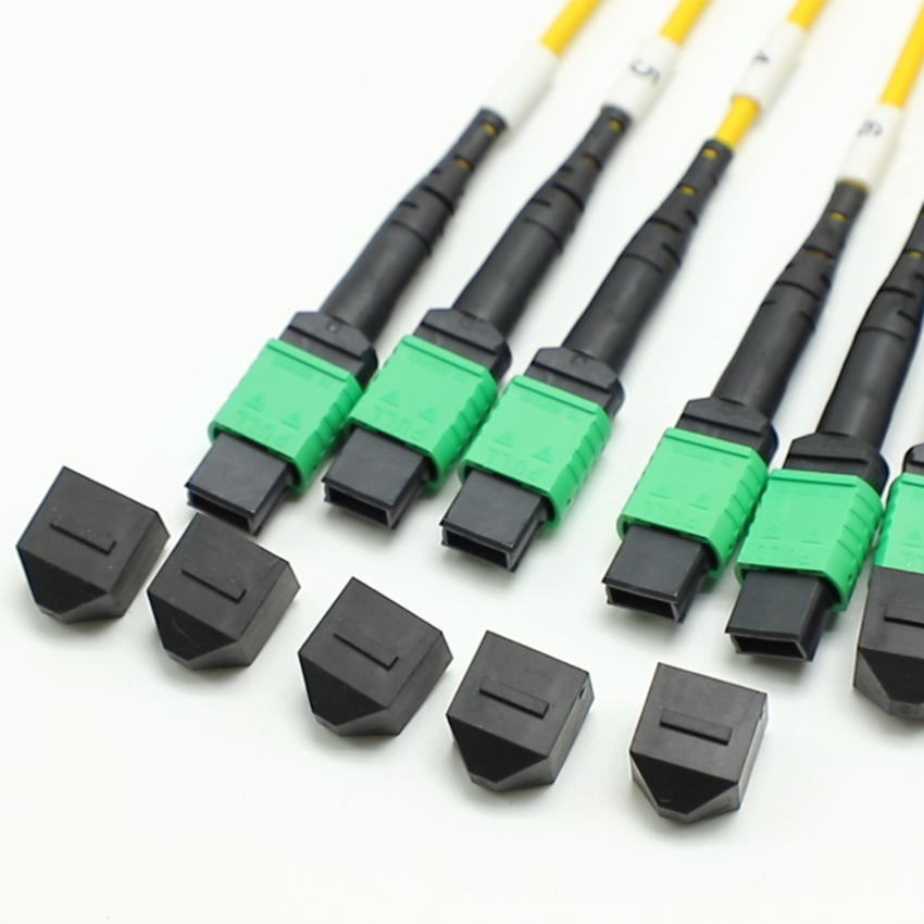 MPO APC to MPO APC Breakout Fiber Optic Patch Cord | TTI